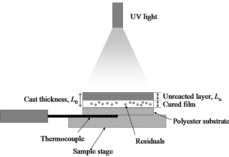 Effects of Curing Conditions and Formulations on Residual Monomer ...