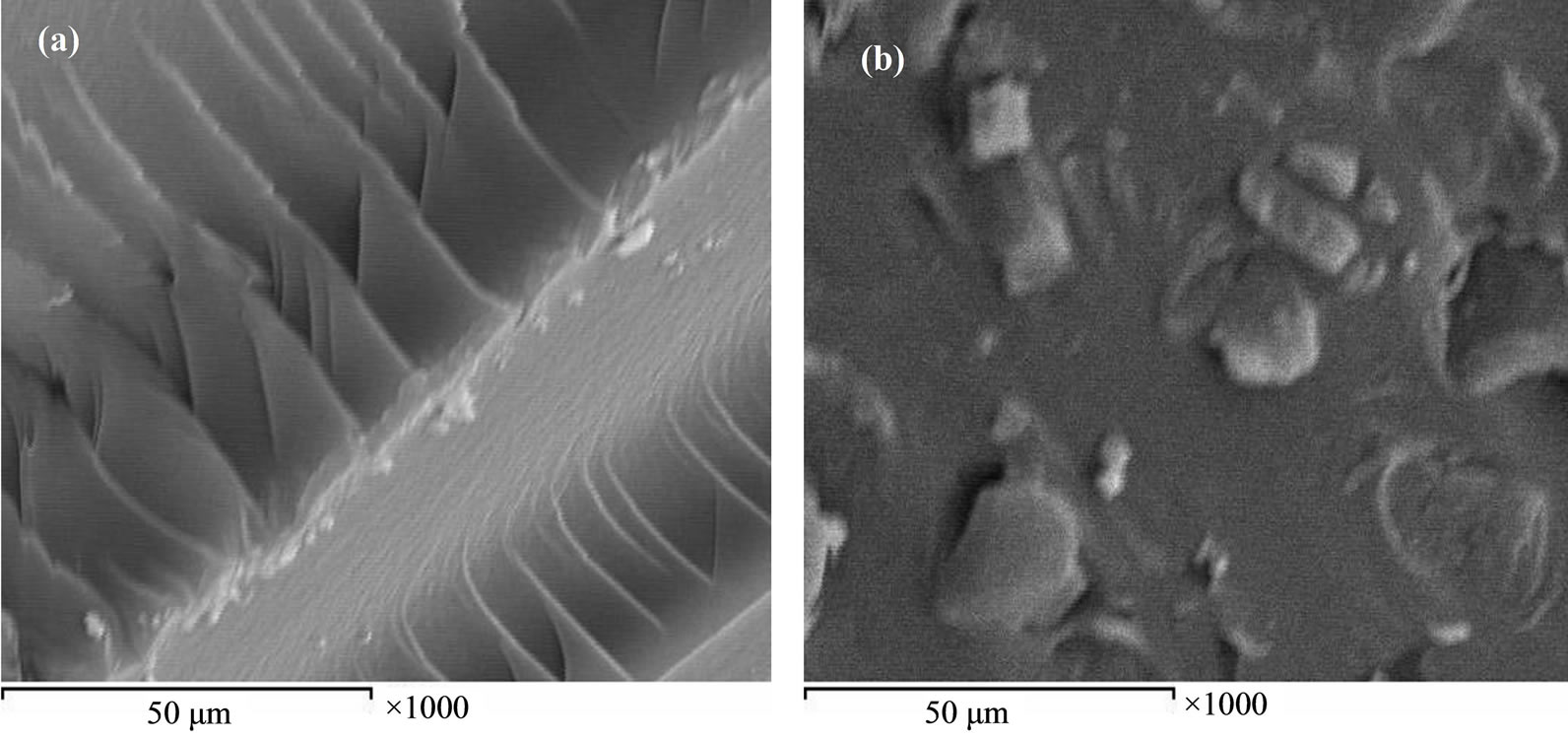 Preparation and Characterization of Poly(β-Amino Ester) Capsules for ...