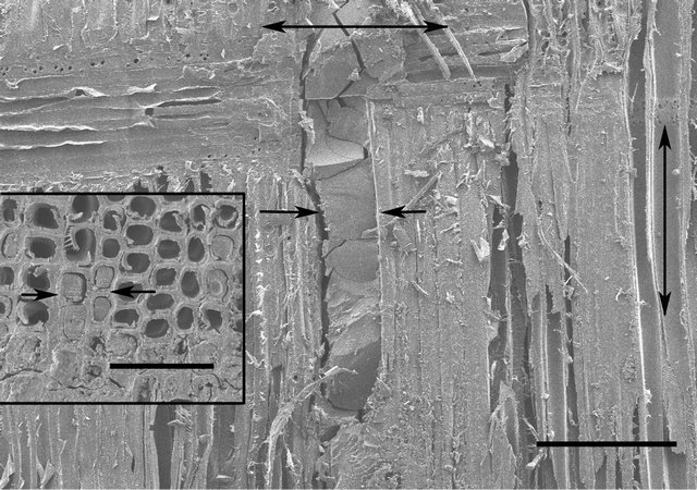 Short Communication—A Novel Sample Preparation Method That Enables ...