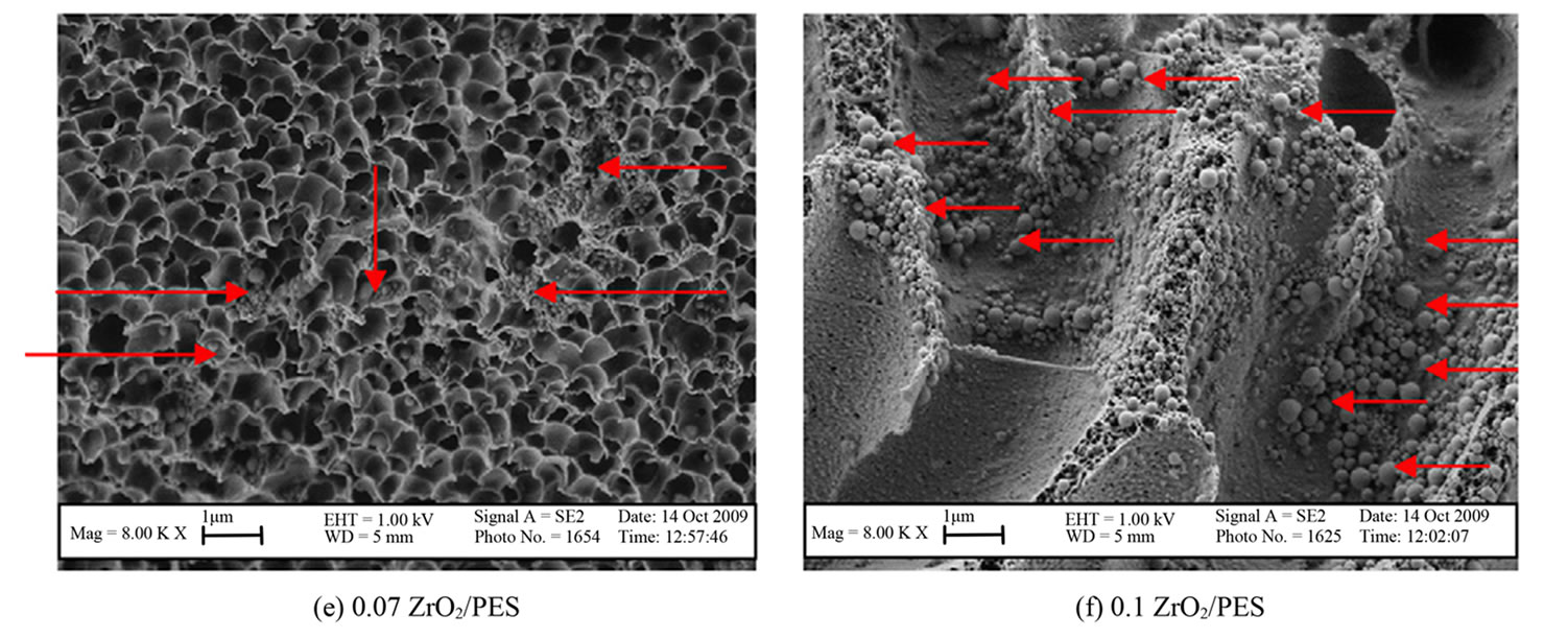 Metal Nanoparticle Modified Polysulfone Membranes for Use in Wastewater ...