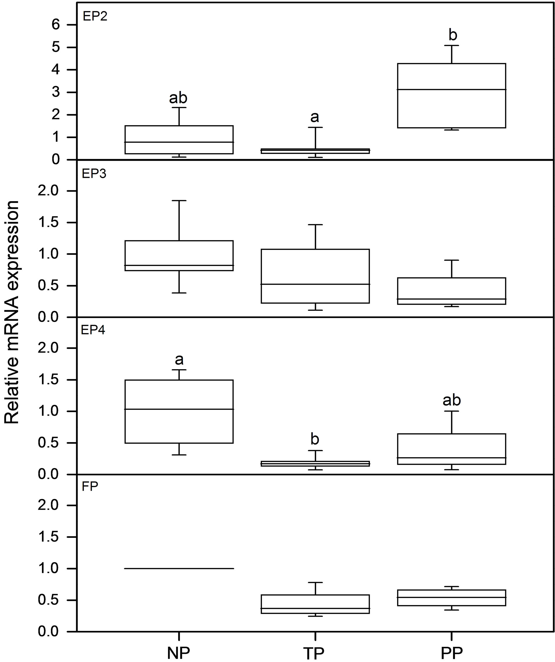 Expression and localization of prostaglandin receptors and stromal factors in human cervix ...
