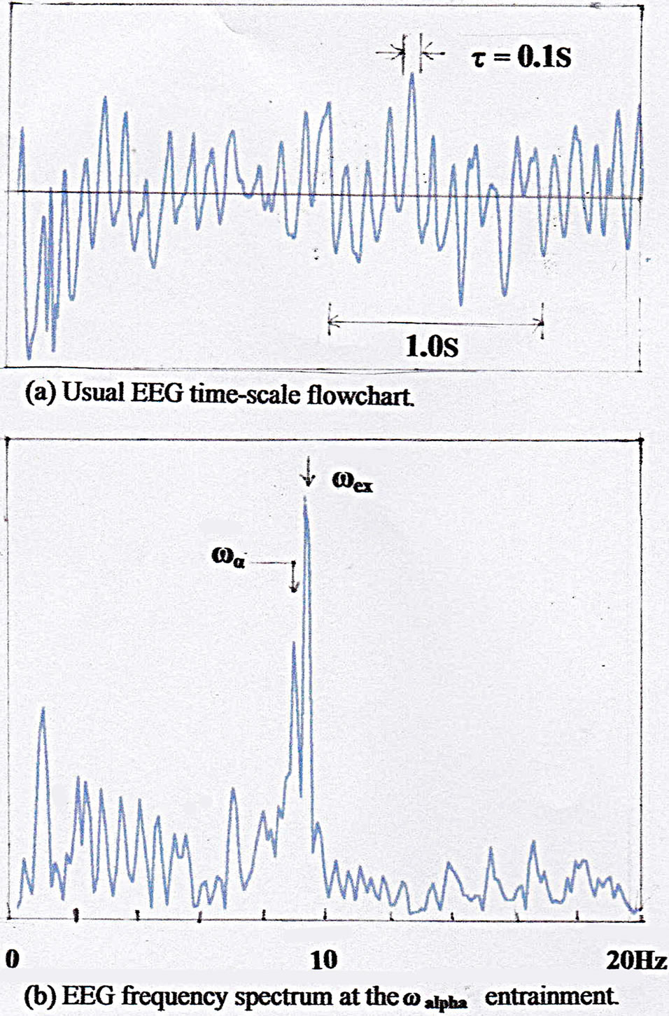 Photo-stimulation effect on the human EEG alpha-wave spectrum