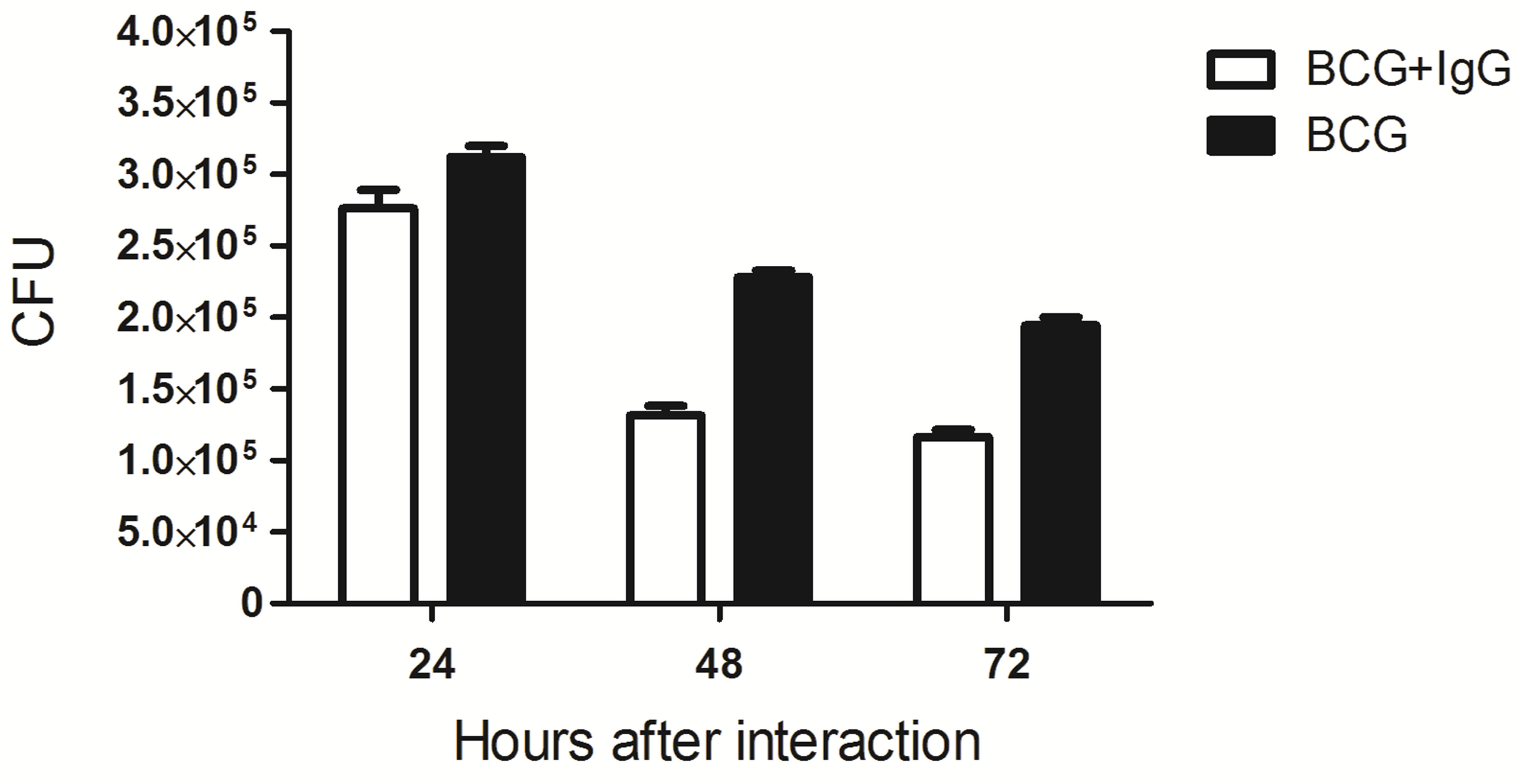 Repeated inoculations of Mycobacterium bovis Bacille Calmette-Guérin ...