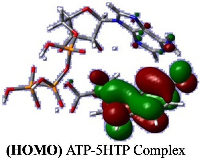 Theoretical Study of 5-HTP. Potential New Drug Resulting from the ...