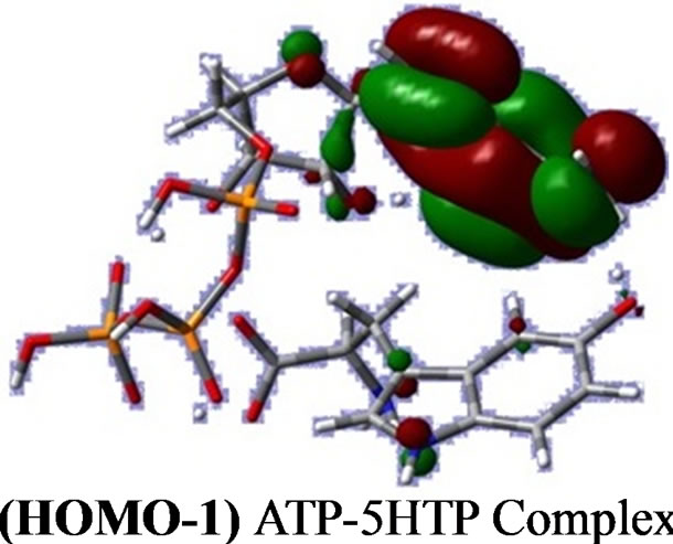 Theoretical Study of 5-HTP. Potential New Drug Resulting from the ...