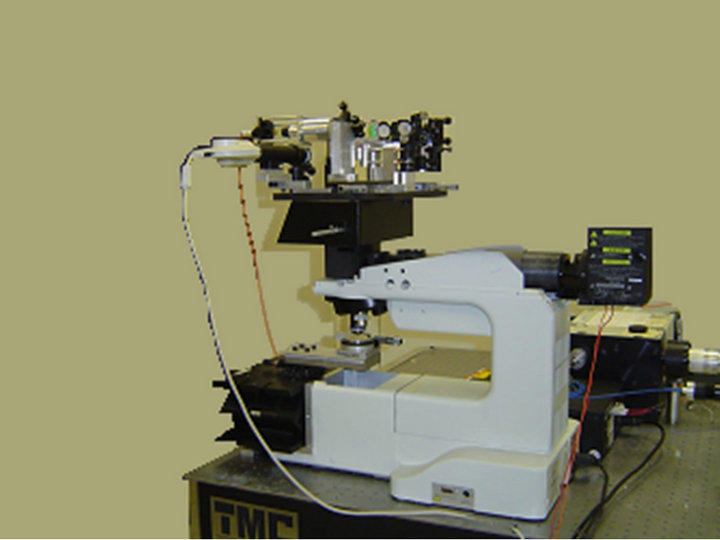 A Low Cost and Versatile STED Superresolution Fluorescent Microscope