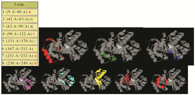 Hierarchy of Protein Loop-Lock Structures: A New Server for the ...