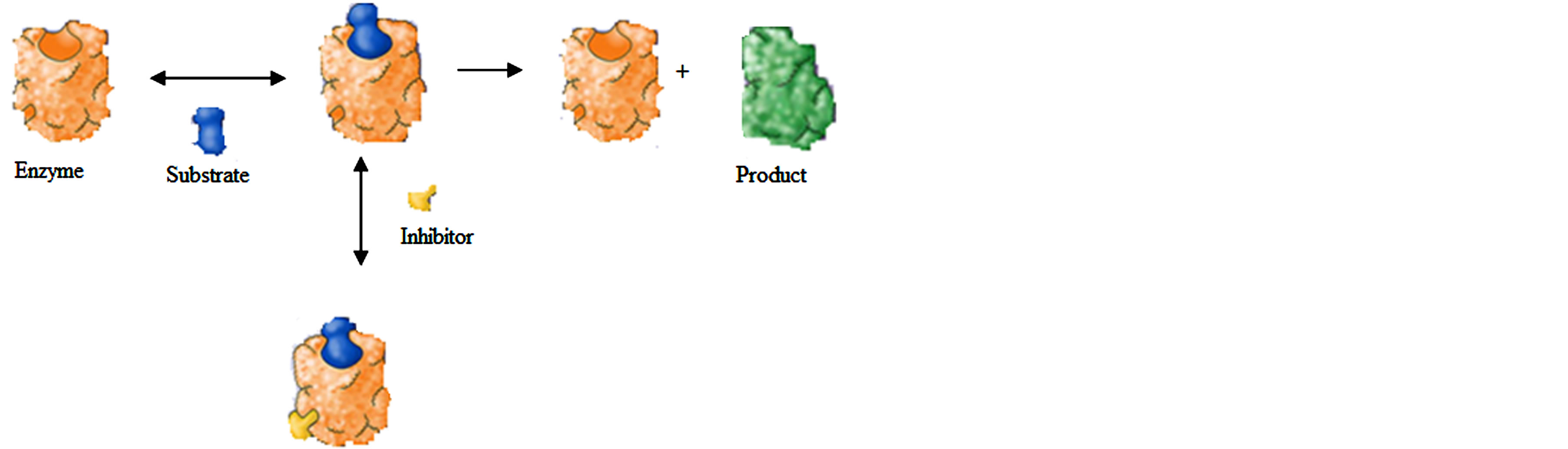 Horseradish Peroxidase Biosensor to Detect Zinc Ions in Aqueous Solutions