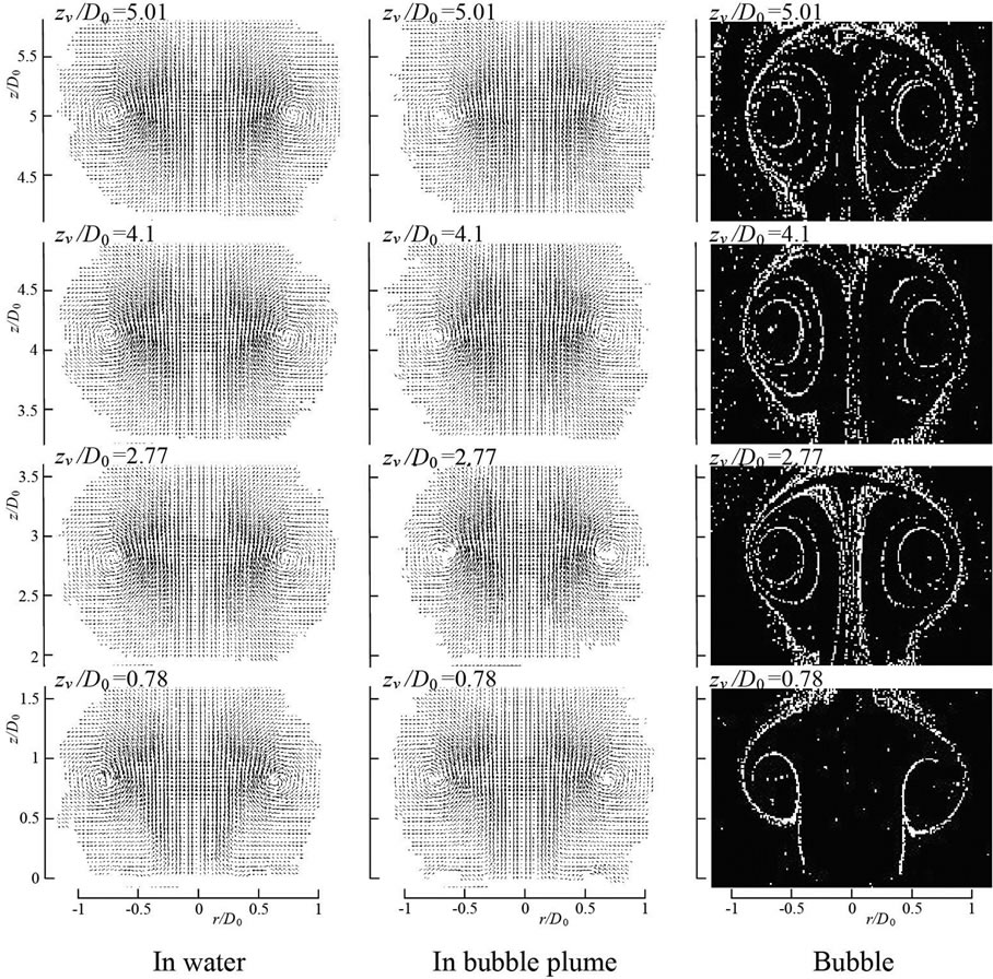 Interaction of Bubbles with Vortex Ring Launched into Bubble Plume