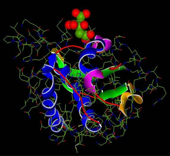 Molecular Modeling of Chemicals Products Inhibitors of Growth Struvite ...