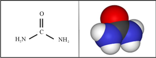 Molecular Modeling of Chemicals Products Inhibitors of Growth Struvite ...