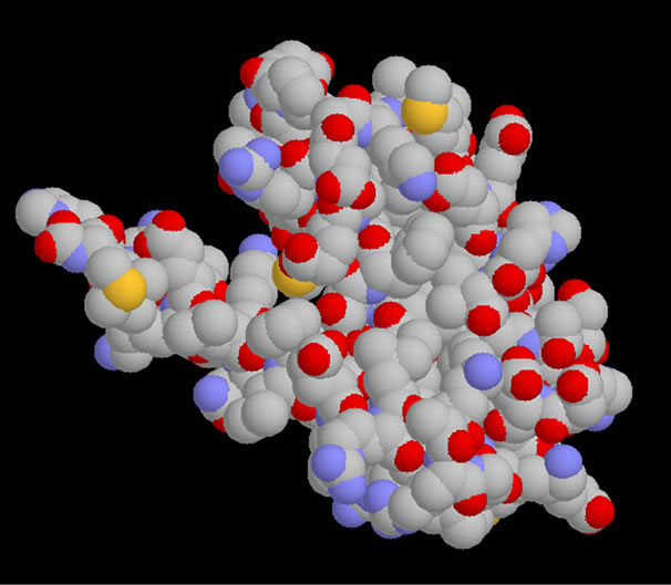 Molecular Modeling of Chemicals Products Inhibitors of Growth Struvite ...