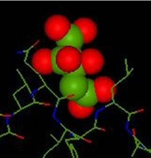 Molecular Modeling of Chemicals Products Inhibitors of Growth Struvite ...