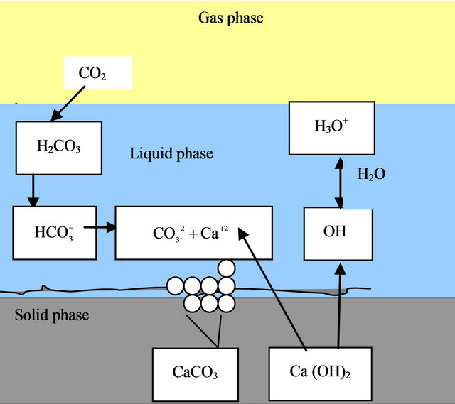 Probabilistic Analysis of Reinforced Concrete Carbonation Depth
