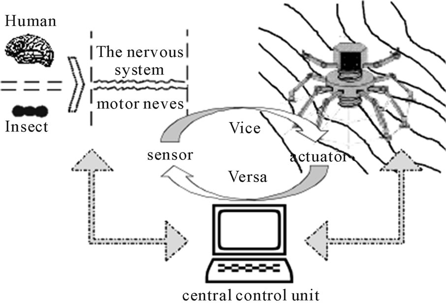 Machine Perception Through Natural Intelligence