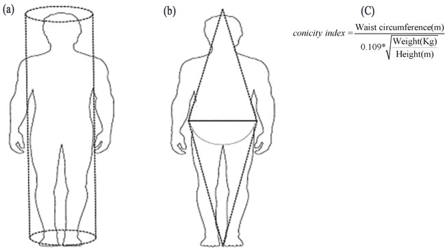 Central Obesity and Comorbidity Risk in Hemodialysis Patients: A Cross ...