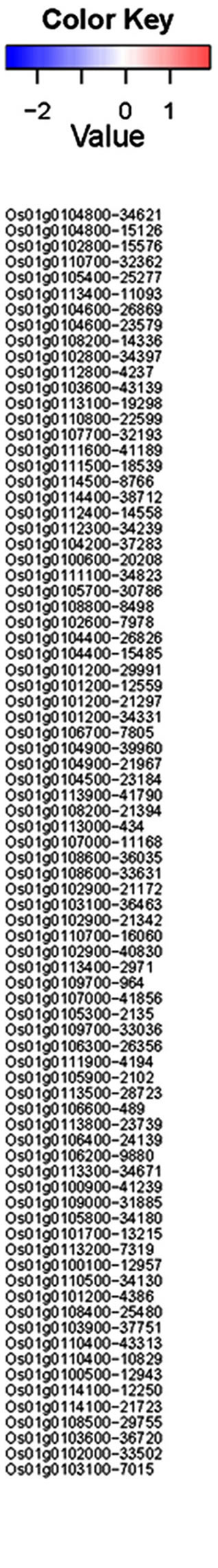 Microarray data analysis: Gaining biological insights