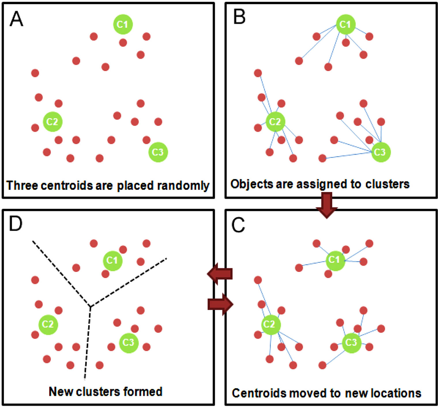 Microarray data analysis: Gaining biological insights