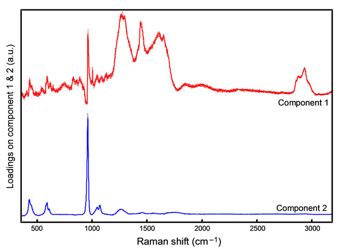 Spectroscopic Discrimination of Bone Samples from Various Species