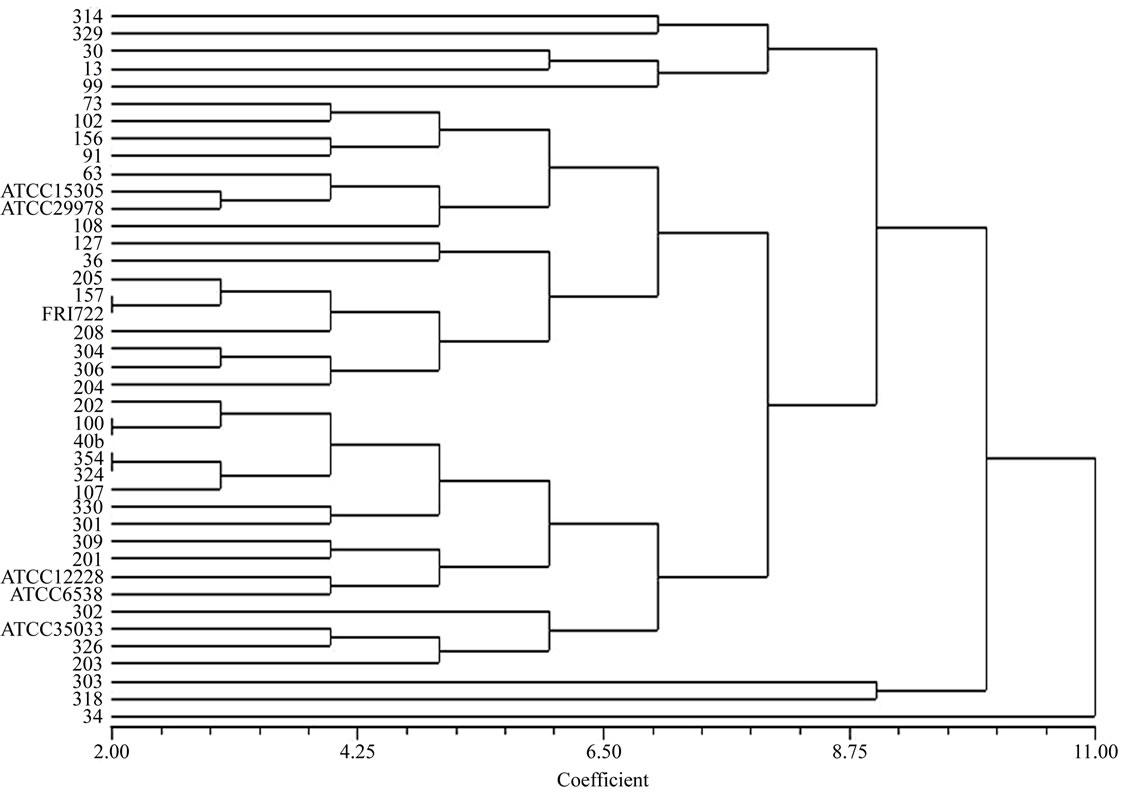 Detection, Identification and Characterization of Staphylococci in ...