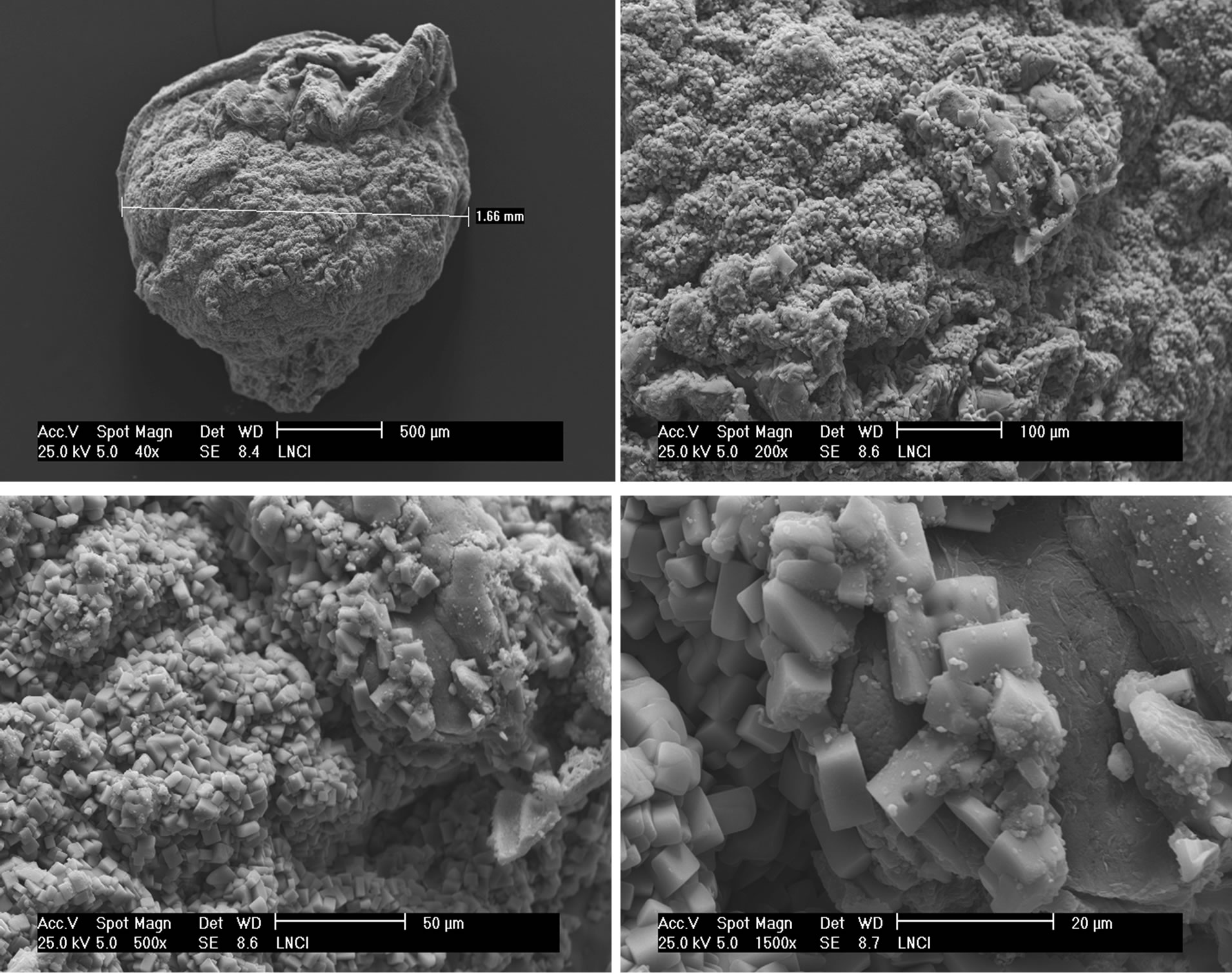 Alginate Reinforced Chitosan and Starch Beads in Slow Release ...