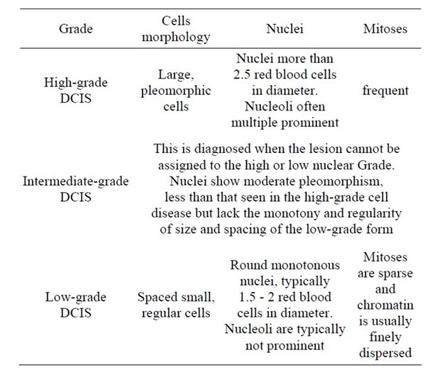 Ductal Carcinoma in Situ Treatment Requires a Multidisciplinary Approach