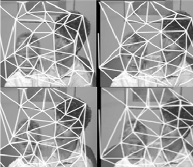 Video Compression USING a New Active Mesh Based Motion Compensation Algorithm in Wavelet Sub-Bands