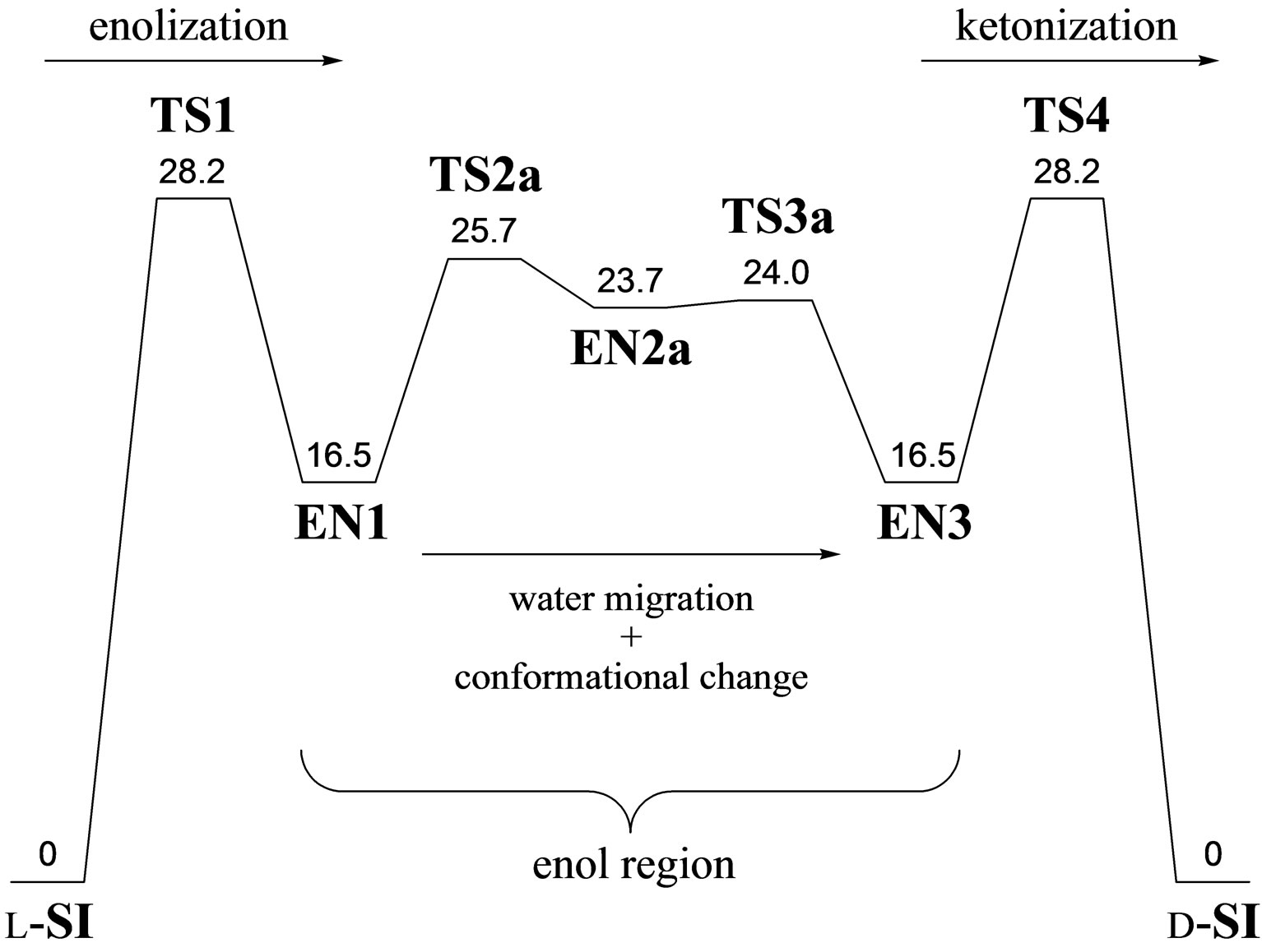Two-water-assisted racemization of the succinimide intermediate formed ...