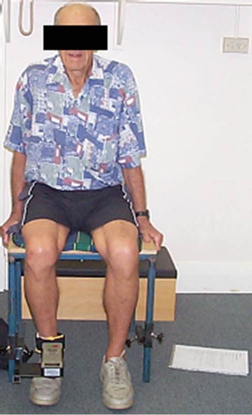 Test-retest strength reliability of the Electronic Push/Pull ...