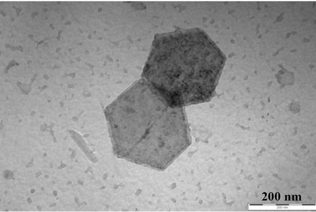 Synthesis and X-Ray Diffraction Analyses of Calcium Hydroxide ...