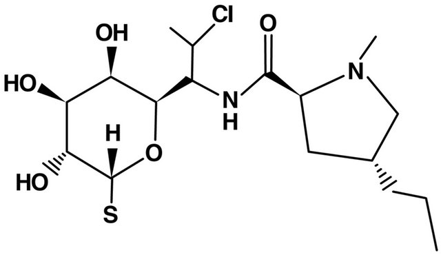 Immune system as a new therapeutic target for antibiotics