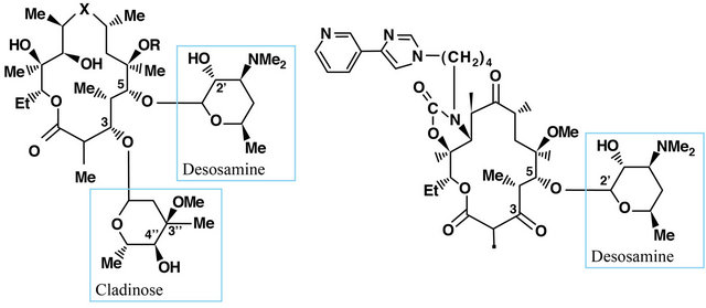 Immune system as a new therapeutic target for antibiotics
