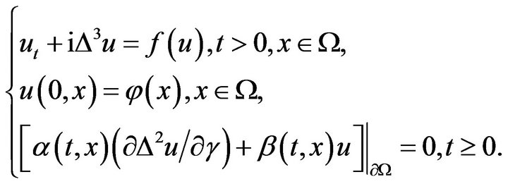 Blow-Up and Attractor of Solution for Problems of Nonlinear Schrodinger ...