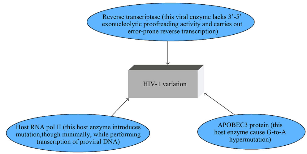 HIV Diversity and Classification, Role in Transmission