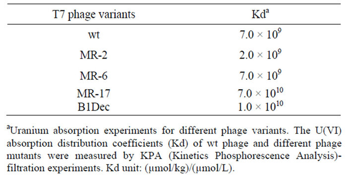 Aβ-Like Peptide Displayed on Bacteriophage T7 Catalyzes Chromate and ...