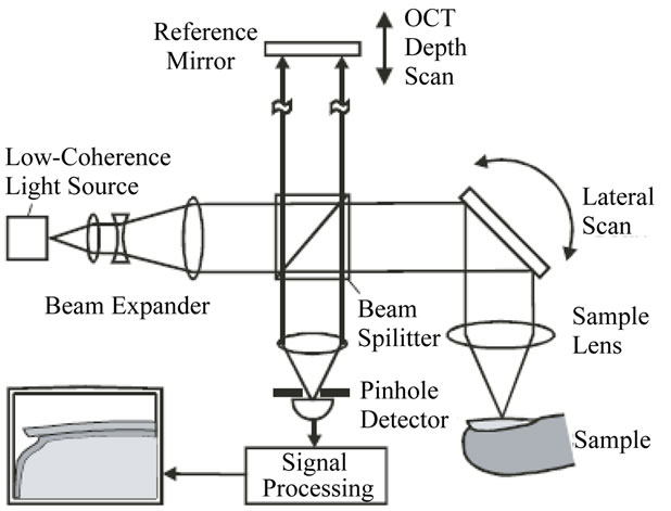 Automation of Fingerprint Recognition Using OCT Fingerprint Images