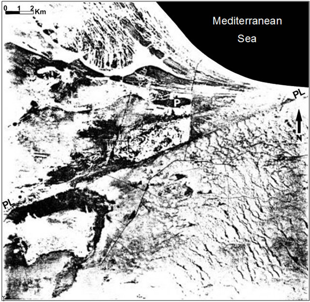 Truthfulness of the Existence of the Pelusium Megashear Fault System ...
