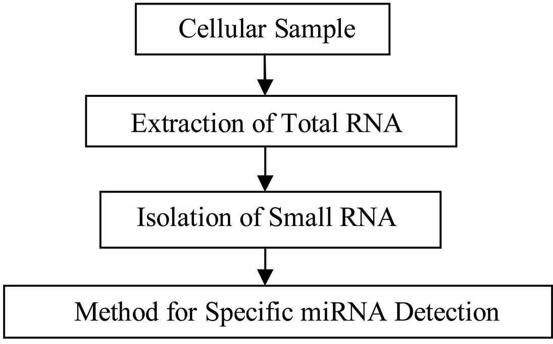 A Simple Approach for Evaluating Total MicroRNA Extraction from Mouse ...