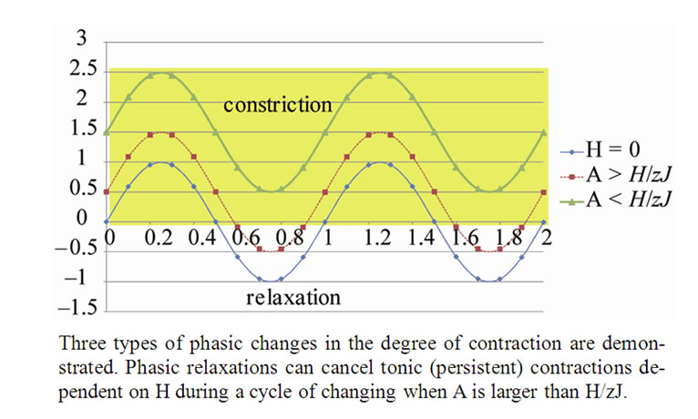 Determinants of airway hyperresponsiveness—Balance of tonic and phasic ...