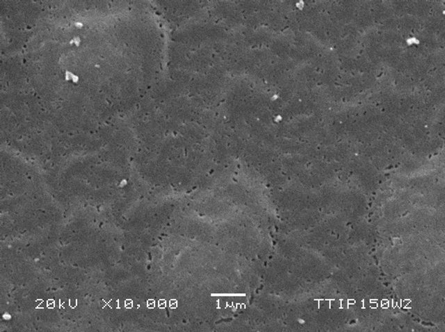 Metallic Interaction in Polythiophene-Ti Plasma Composites