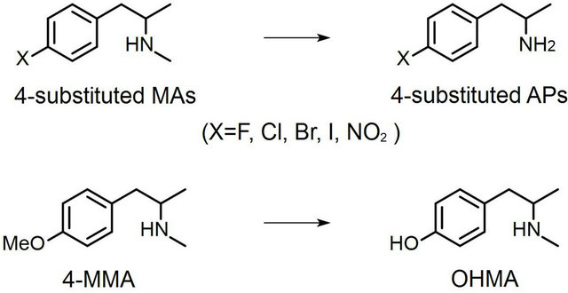 Comparative in Vitro Studies of the Metabolism of Six 4-Substituted ...