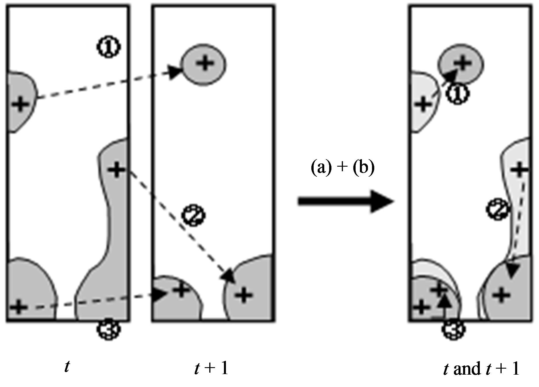 Interactive Visualization System of Taylor Vortex Flow Using Stokes ...
