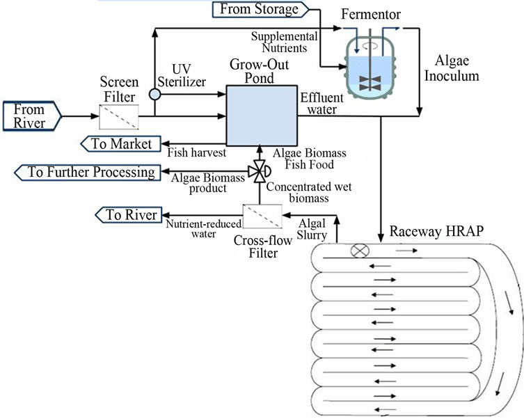 Sustainable Management of Algae in Eutrophic Ecosystems