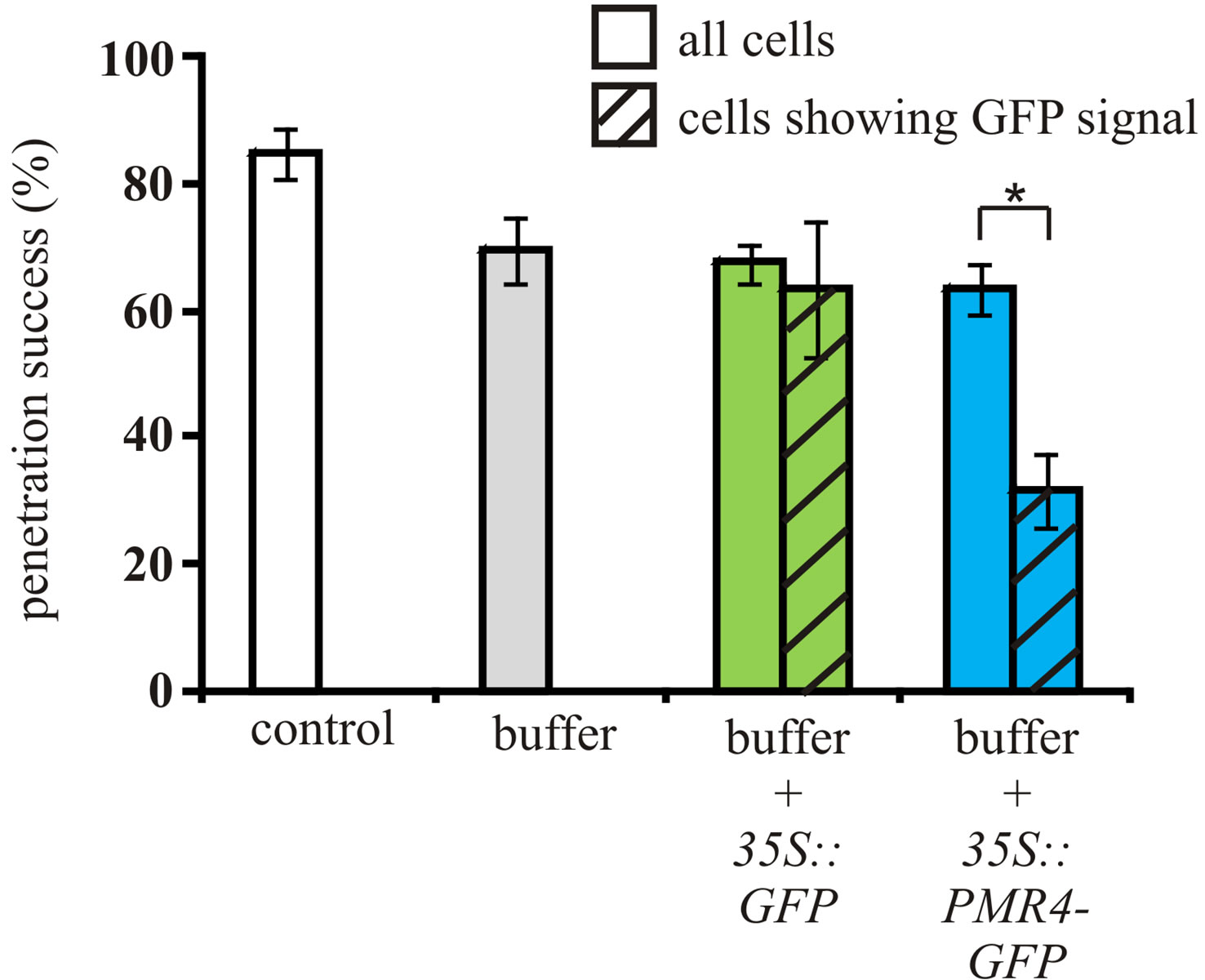 Transient expression of the Arabidopsis thaliana callose synthase PMR4 ...