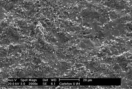 Tribological Behavior of Stellite 720 Coating under Block-on-Ring Wear Test