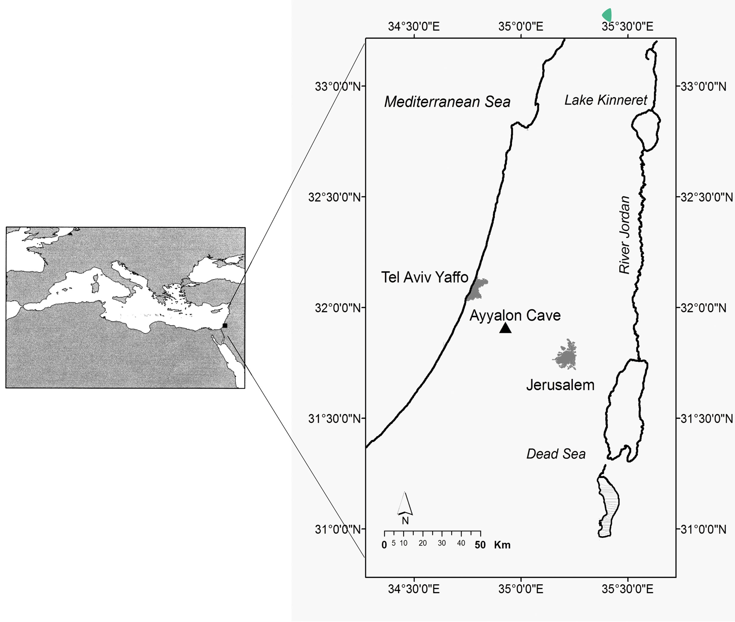 Animal life in the chemoautotrophic ecosystem of the hypogenic ...