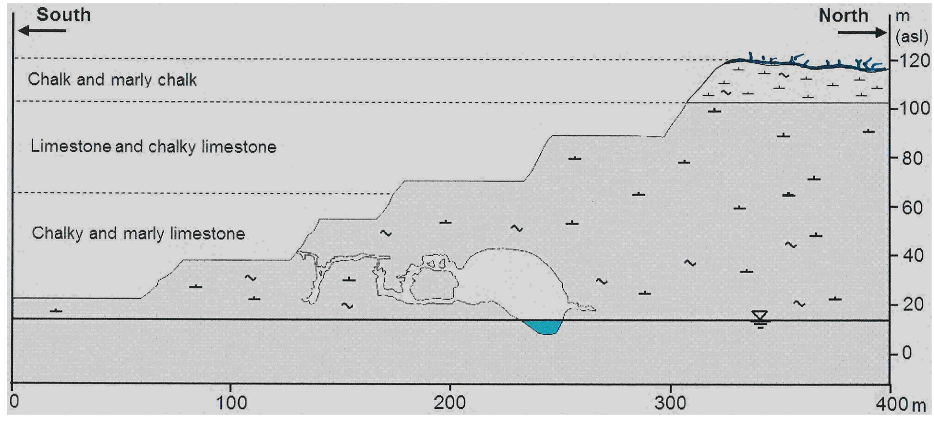 Animal life in the chemoautotrophic ecosystem of the hypogenic ...