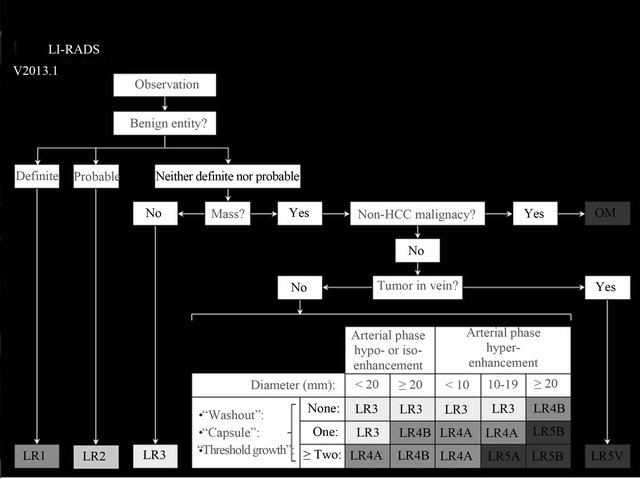 Early Hepatocellular Carcinoma: Diagnosing the Difficult Nodule