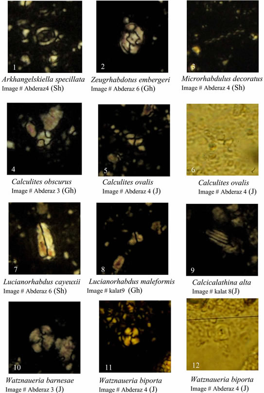Investigation of the Boundary between Abderaz and Kalat Formations ...
