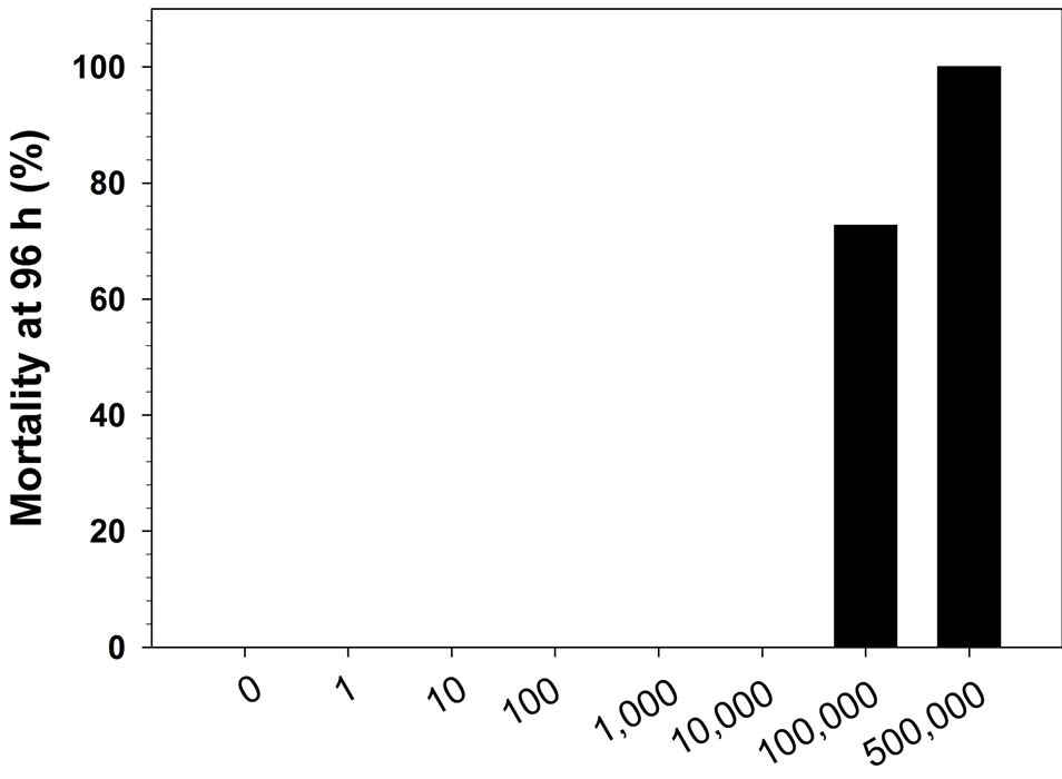 Penicillin-G: Efficacy against Flavobacterium psychrophilum and ...